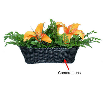 Artificial Plant Decor with Discreet, WiFi-Enabled 4K Hidden Camera ...